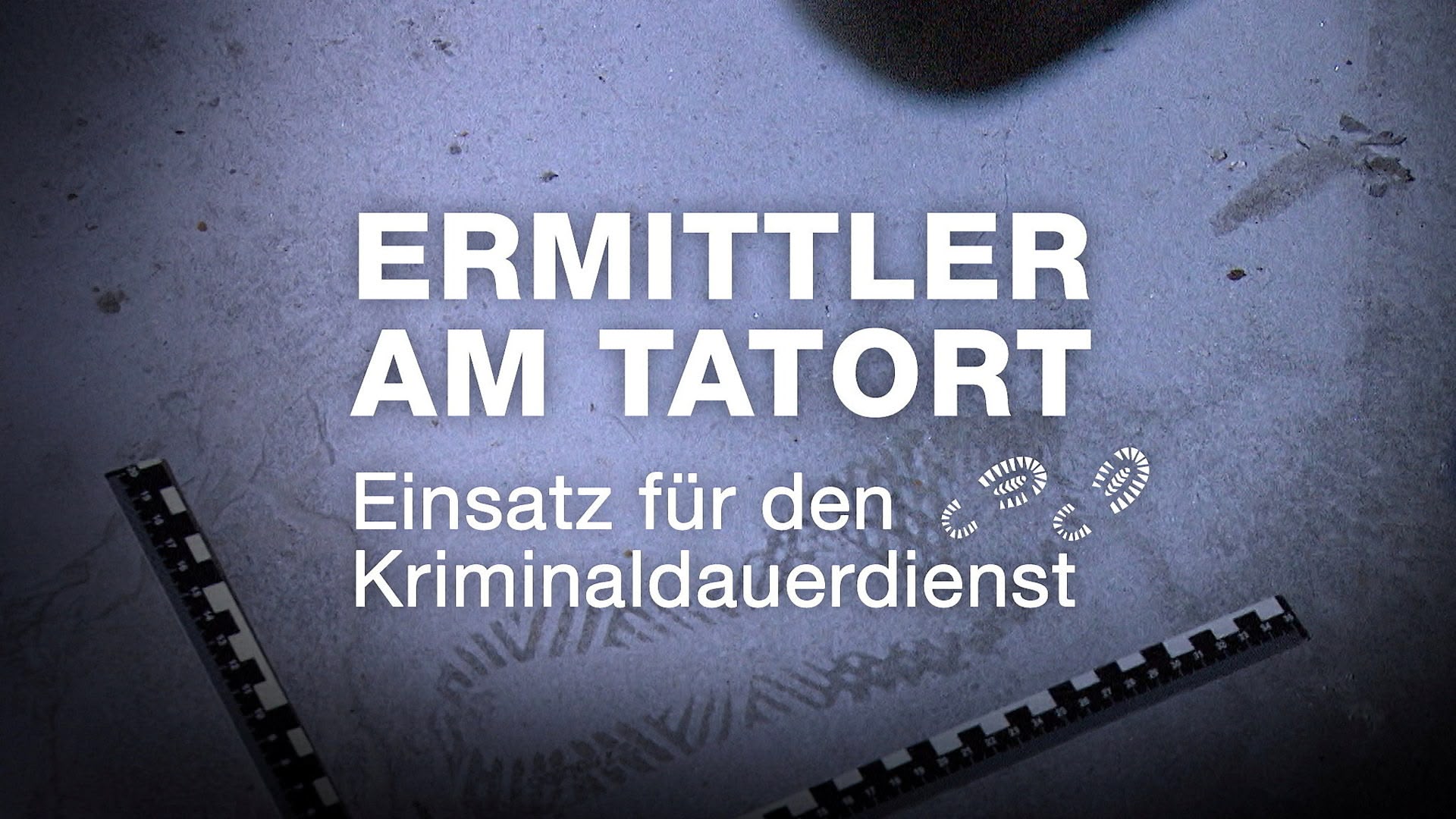 Ermittler am Tatort - Einsatz für den Kriminaldauerdienst online ...